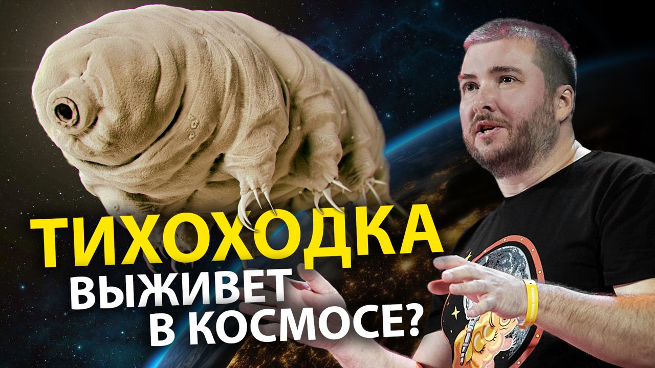 Самое живучее существо на Земле? Тихоходка против радиации, химикатов, инфекций. Ученые против мифов