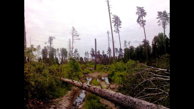Библия. 55-19. Деяния святых Апостолов (19). Во время пребывания Аполлоса в Коринфе.