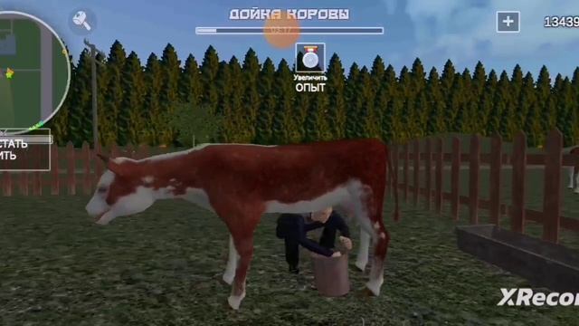 Выполняем работы в симуляторе русской деревни