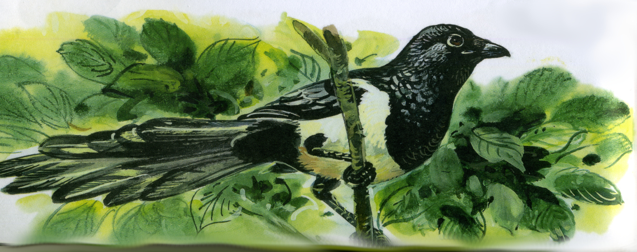 Мастера без топора