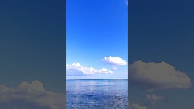 MovaviClips_Video_20211111-000614.mp4