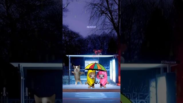 Banana cat встретил подружку
