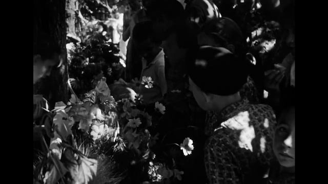 Выставка цветов и плодов 1963г