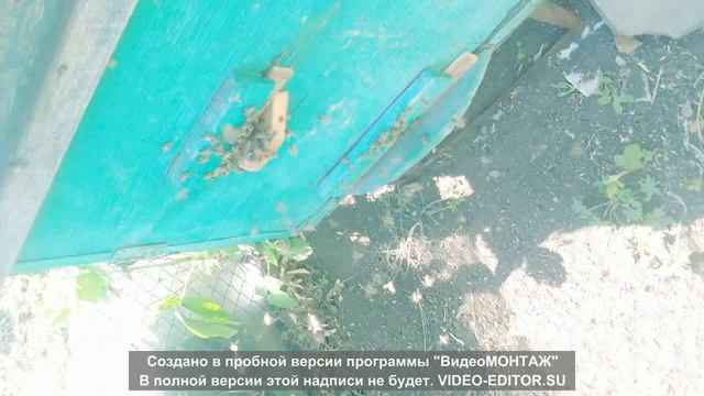 Новый проект