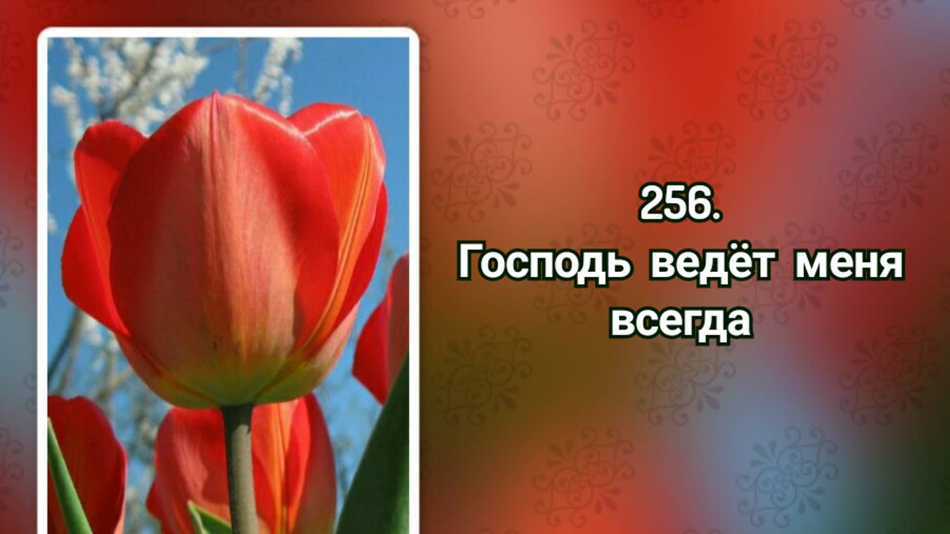 Гимны надежды 256 Господь ведёт меня всегда (-)