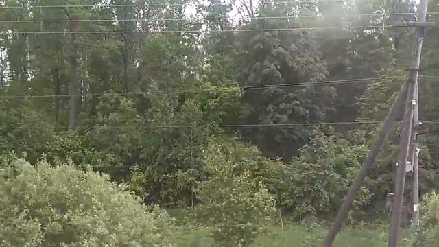 Вид из окна поезда №115 Уфа — Москва