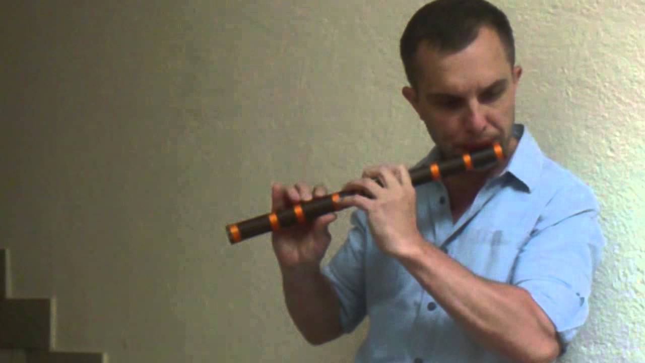 Бансури (Bansuri) Сергей Пузиков_2015