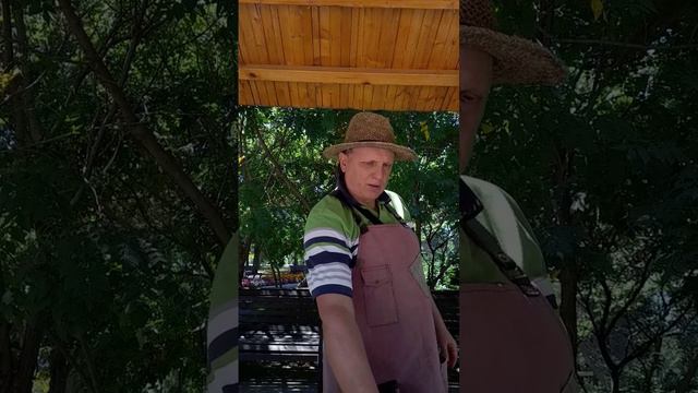 Электровыходные.Малахов Курган и Лукоморье