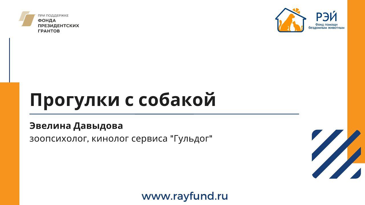 Прогулки с собакой