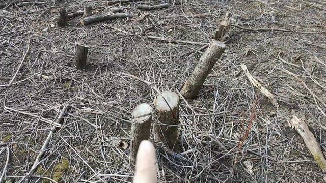 Разбираем заброшку, апрель 2021