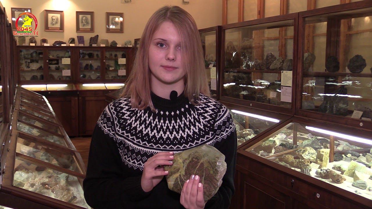 Музеи КФУ. Россия, Москва, Листова Анна, "Бегемот ТВ", школа №2045