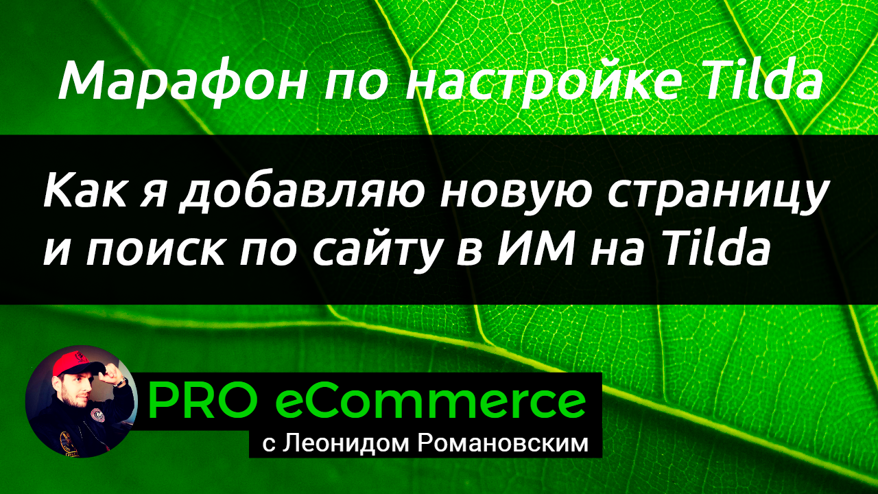 Как я добавляю новую страницу и поиск по сайту в ИМ на Tilda