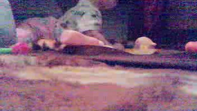 2007 г. Учимся ползать.