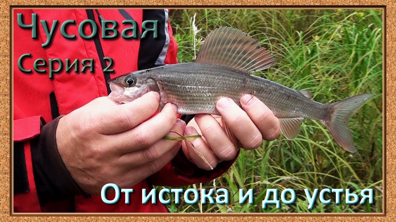 Чусовая: от истока и до устья. Серия 2 -- Полдневая Чусовая