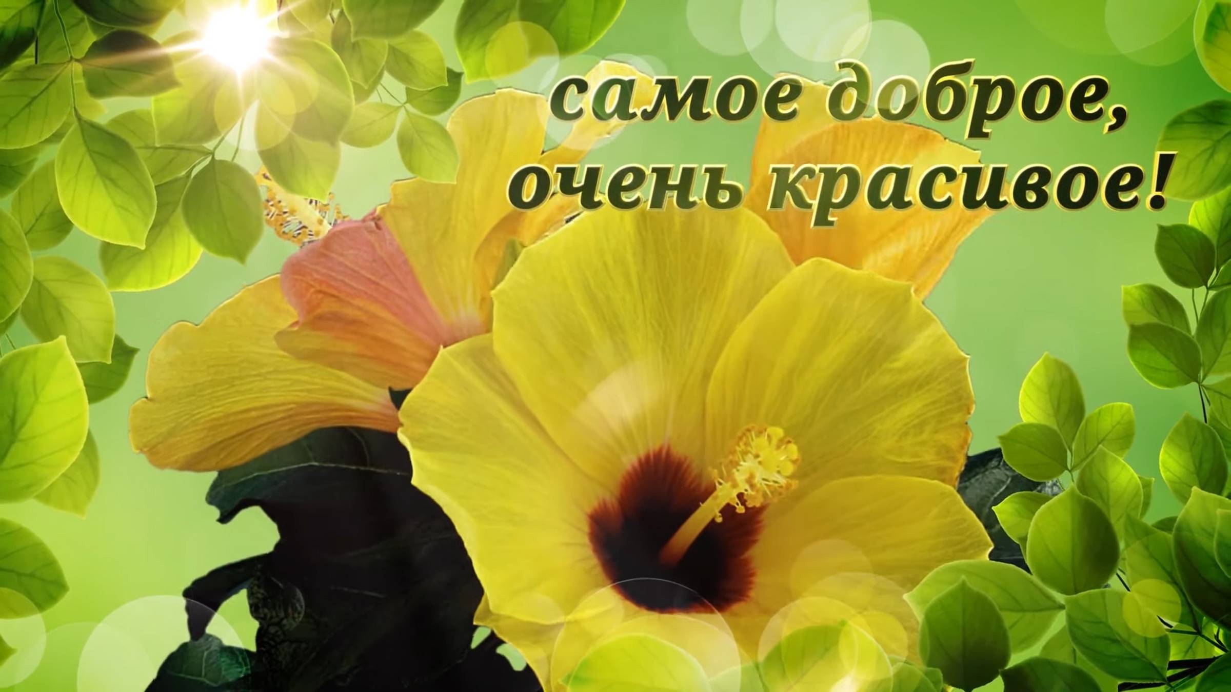 С днём рождения, Марина Игоревна! (2024)