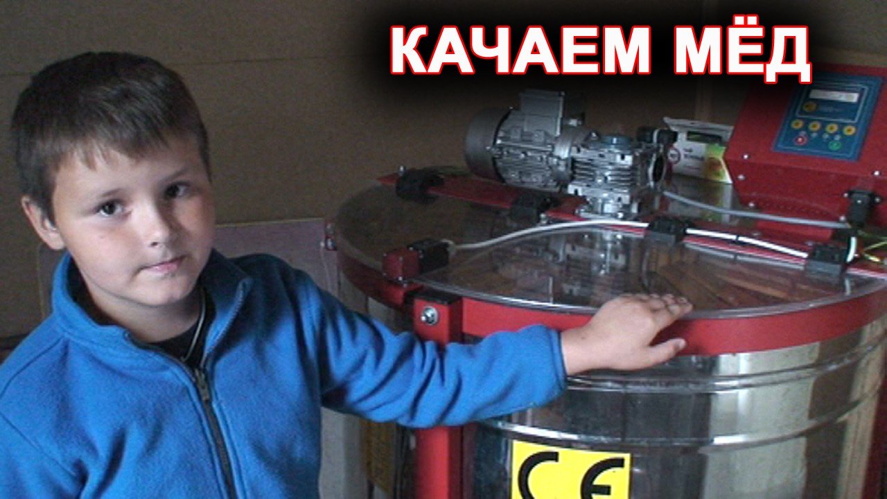 Качаем мёд.