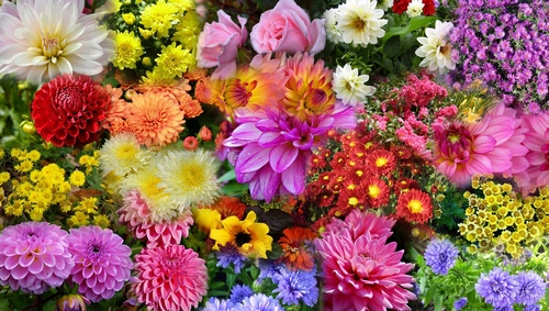 Осенний бал цветов.mp4