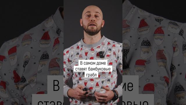 Как Отмечают Новый Год в Японии: История и Традиции!?