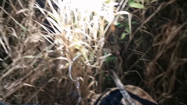 Ночевка без палатки поздней осенью в лесу