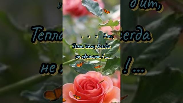 С последними июльскими днями!🌺#доброеутро#лето#shorts