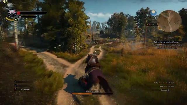 Witcher 3 Wild Hunt i5 4460  GTX 660 High Settings