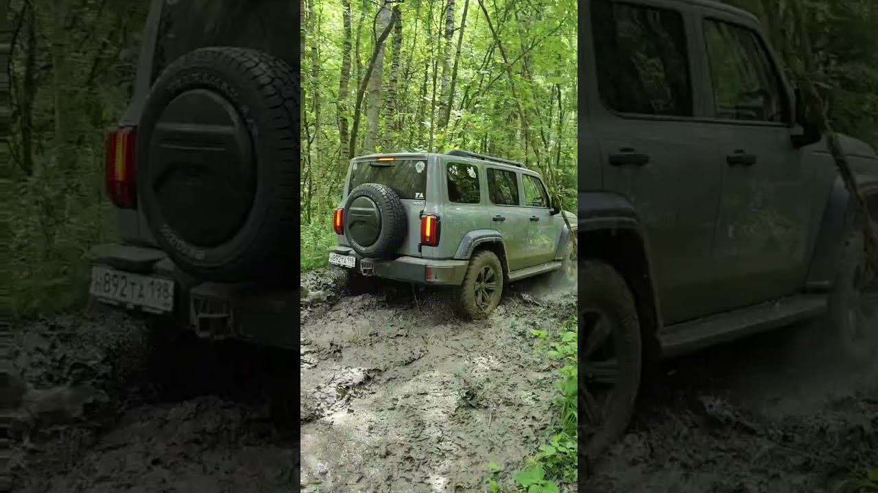 ТАНК 300. Старогатчинский лес с клубом Танк300Russia