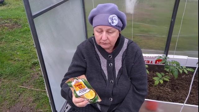 Как избавиться от муравьёв. Гарантия 100 %.