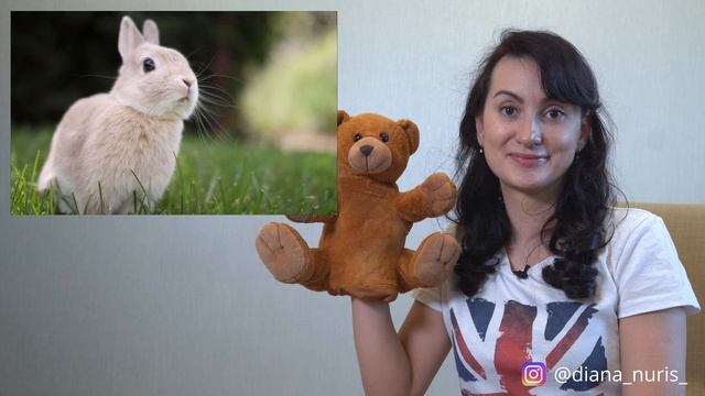 Урок 5 (часть 1) Животные на английском Learn animals in English