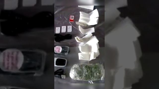 Тюрьма Контрабанда с помощью грызунов