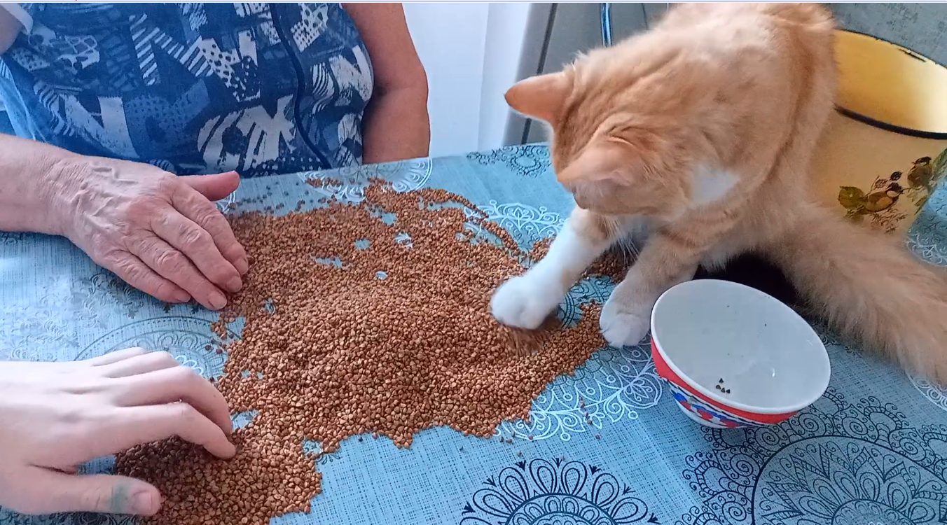 Кулинарные советы от Степана