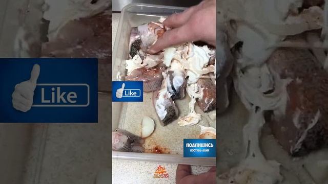 Шашлык из щуки рецепт.
