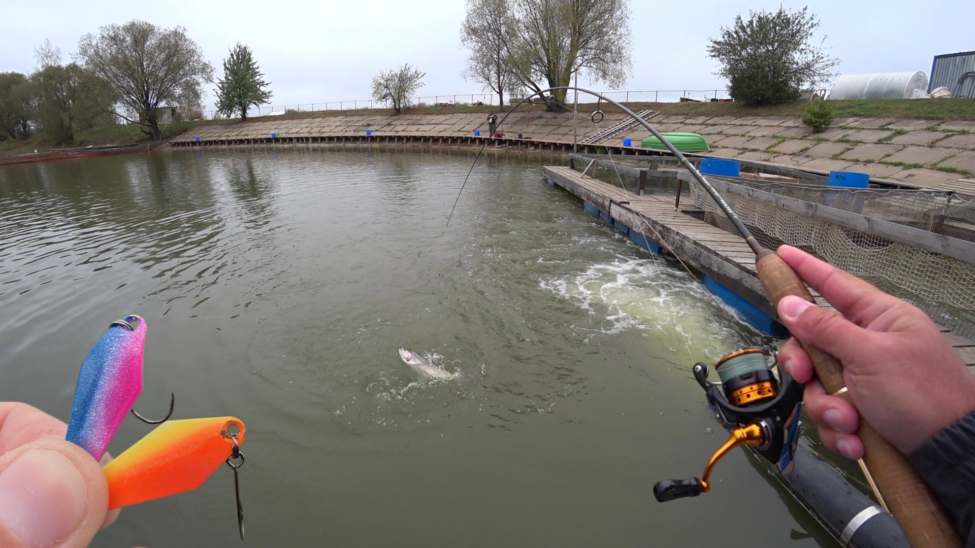 ФОРЕЛЬ ВЫБИРАЕТ ЭТИ БЛЕСНА Ловля форели на спиннинг и блесна осенью