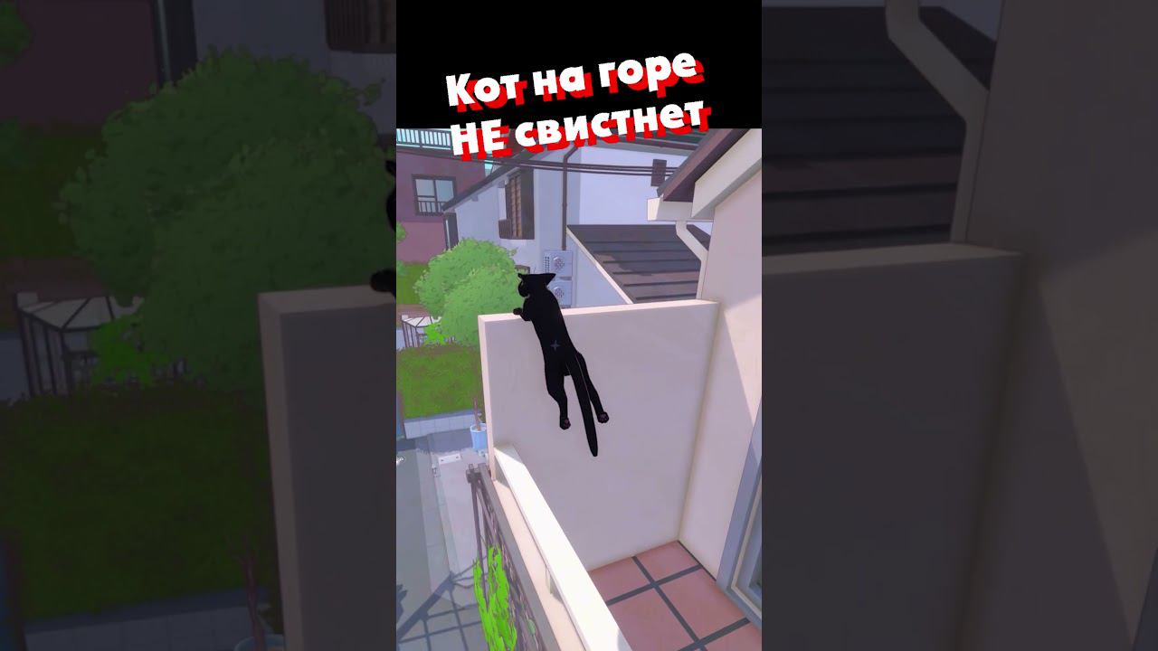 СТОЛЬКО СТАРАНИЙ