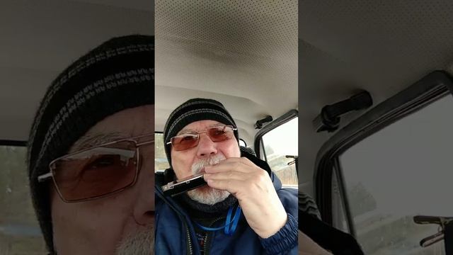И.Истомин.Тарантелла Contadina #Гармошка_тремоло #Гармоника-тремоло #Harmonica #ТурочакСтепаныч