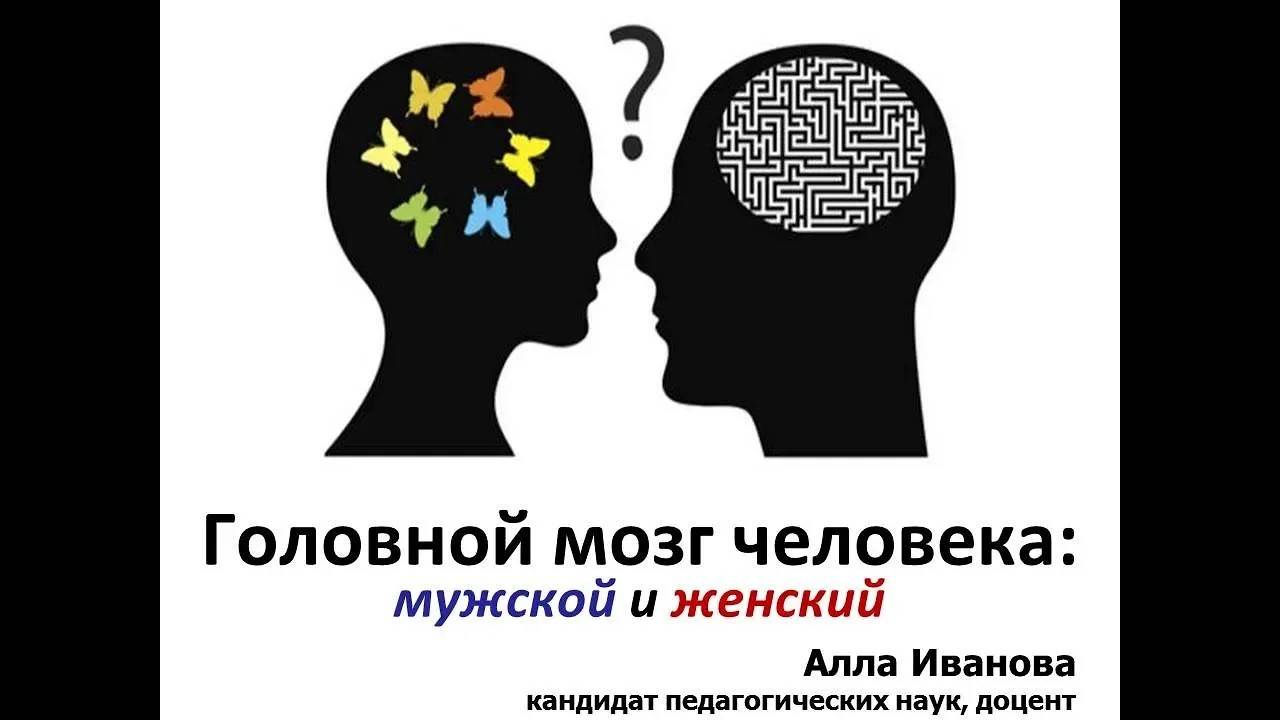 В чем отличия женского мозга от мужского