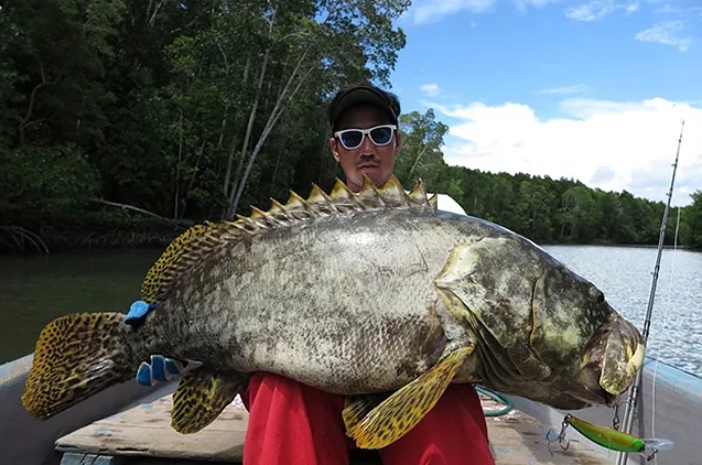 360.Трофеи 137.mp4