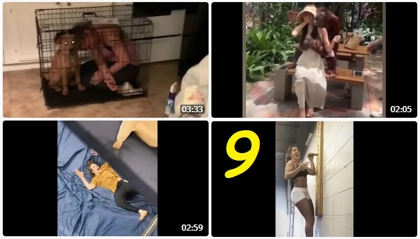 Сборник Смешные приколы #9 , 91-102