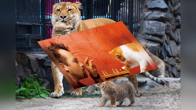 Видео-обзор новых журналов для детей. Вып. 1(21) 2021 г.mp4