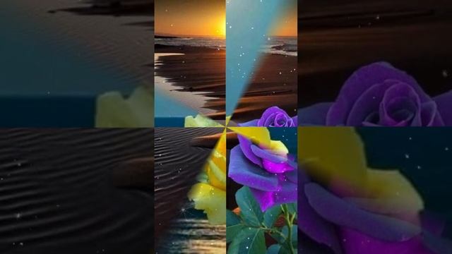 Уютного вечера!.mp4