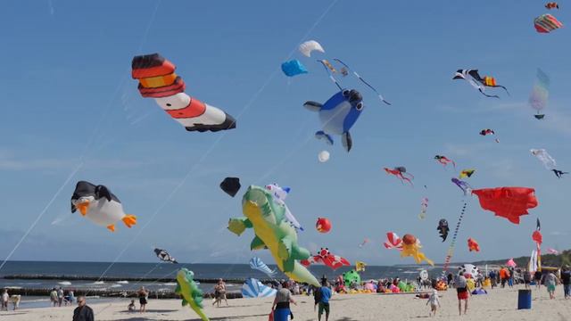 Look Level 1 BONUS School Trip Video 16