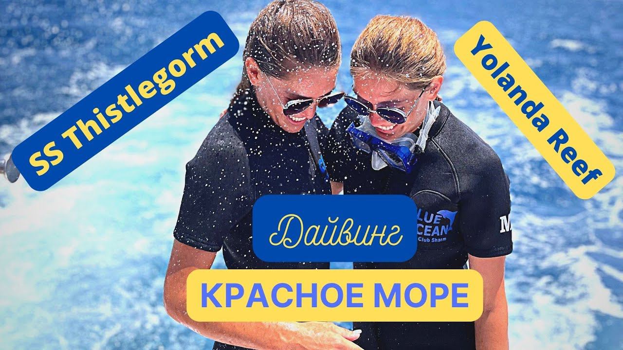 Дайвинг  Красное море ️ Тистлегорм и Иоланда риф