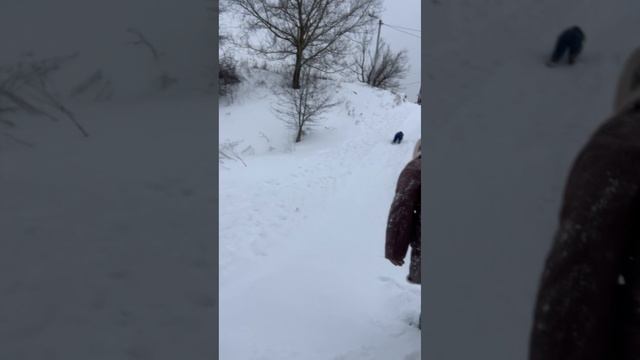 Звенит январская вьюга