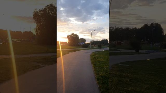 Жёлтый закат и влог о новом увлечение. Интеллектуальная игра "Квиз".