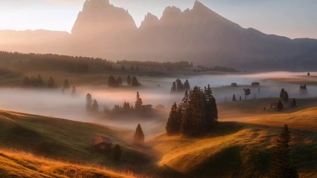 Anthony Greninger. Walk With Me