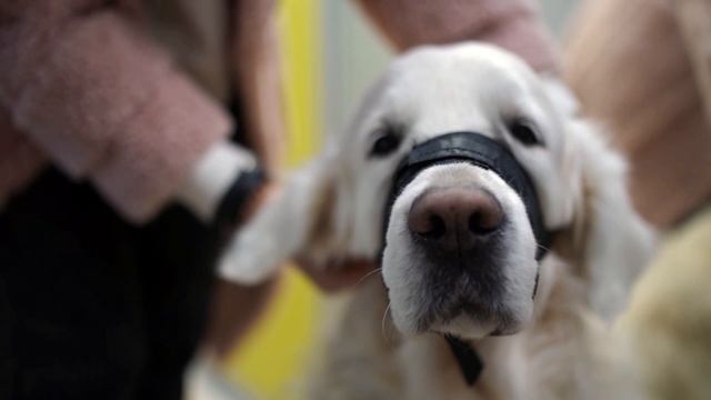 ВЕТЕРИНАРИЯ 2023_НОВОЕ 3