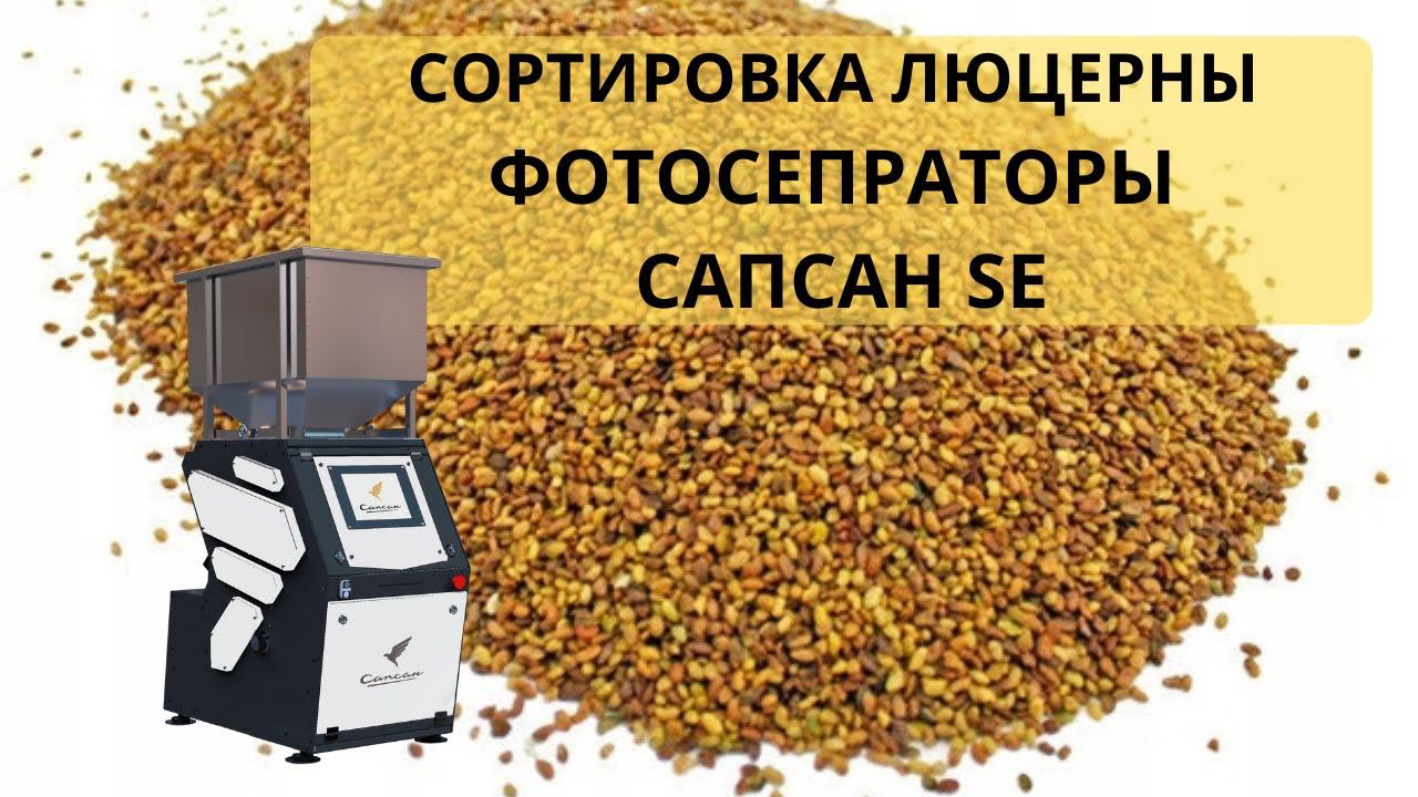 Очистка и сортировка люцерны - фотосепаратор Сапсан SE, очистка семян.