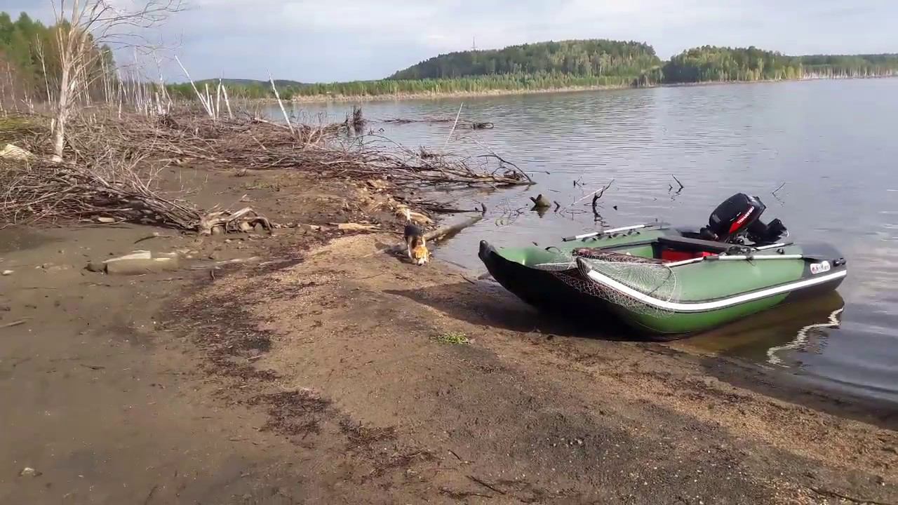Бигль Фока и Долгобродское водохранилище 03.09.2016