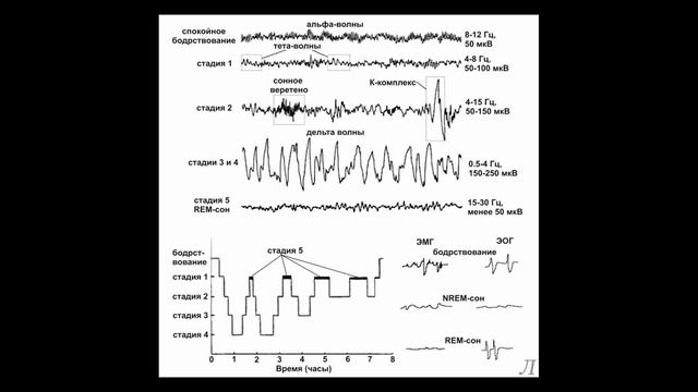 11.17.1 Подробное разъяснение. Сон. Часть первая