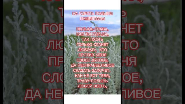 ОБЕРЕГ "ВЕДЬМИН МЕШОЧЕК"?ОТ ВРАГОВ И ЗЛЫХ ЯЗЫКОВ