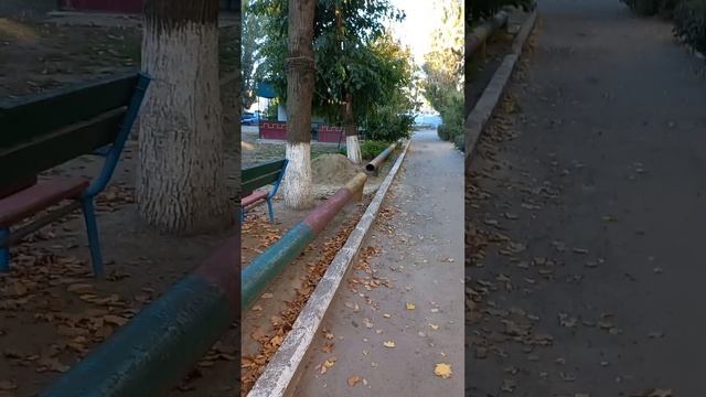 НЕВЕРОЯТНЫЙ ОСЕННИЙ ПЕЙЗАЖ